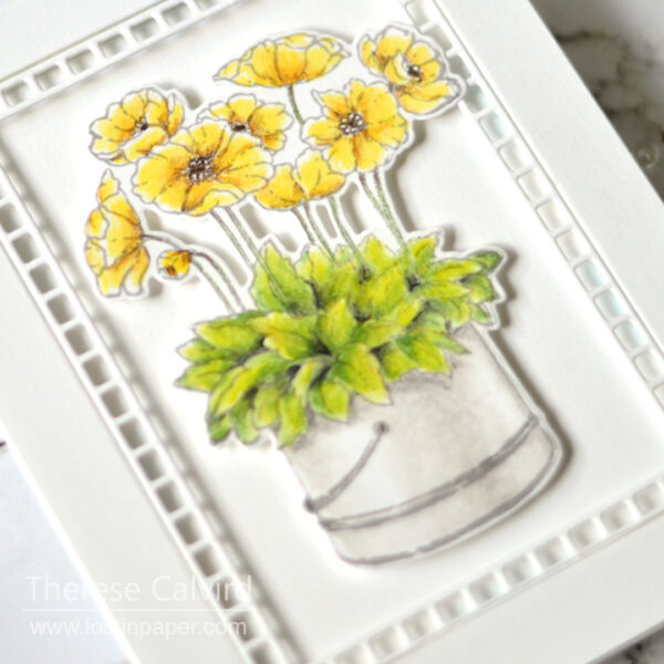 How to Make 5 Beautiful Prismacolor Flower Cards - Gimme 5 Video!