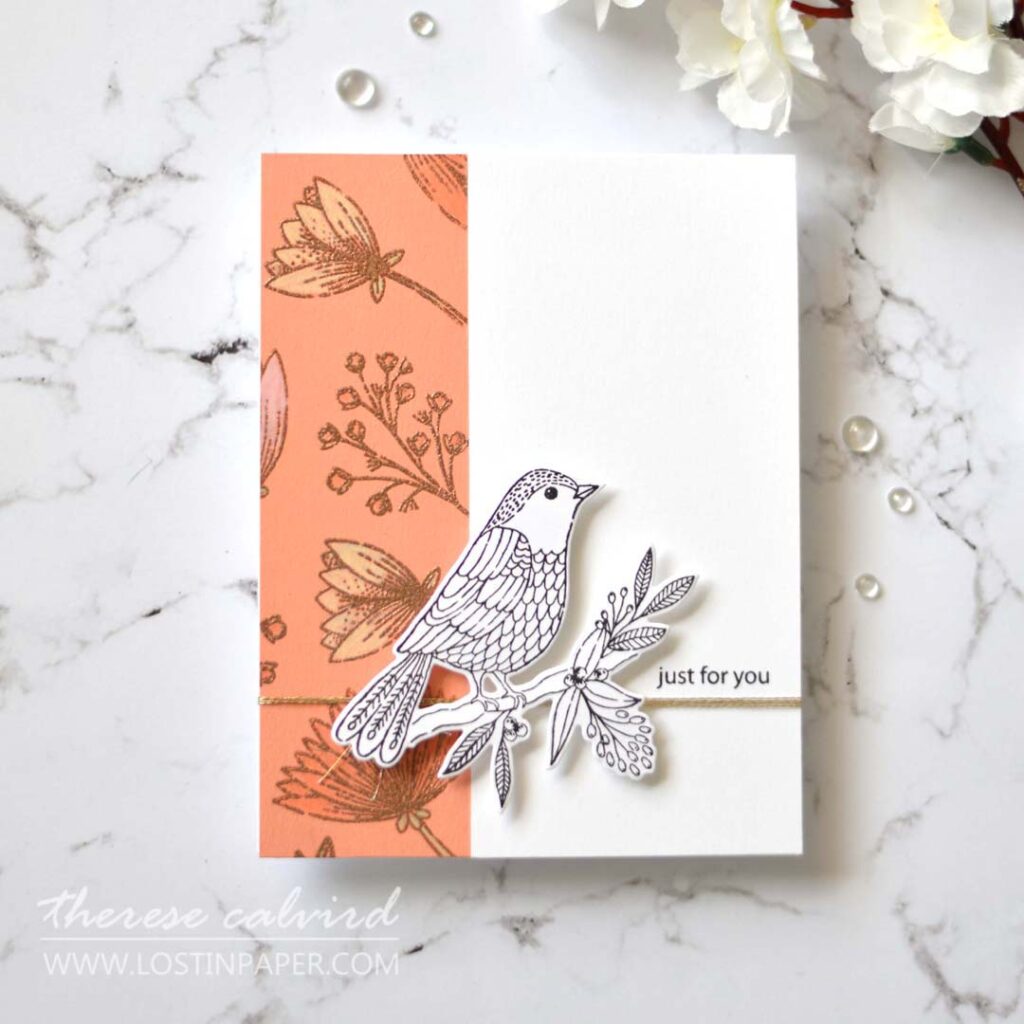 How to Use Stamped A4 Cardstock to Make 5 Cards! - Gimme 5 Video!