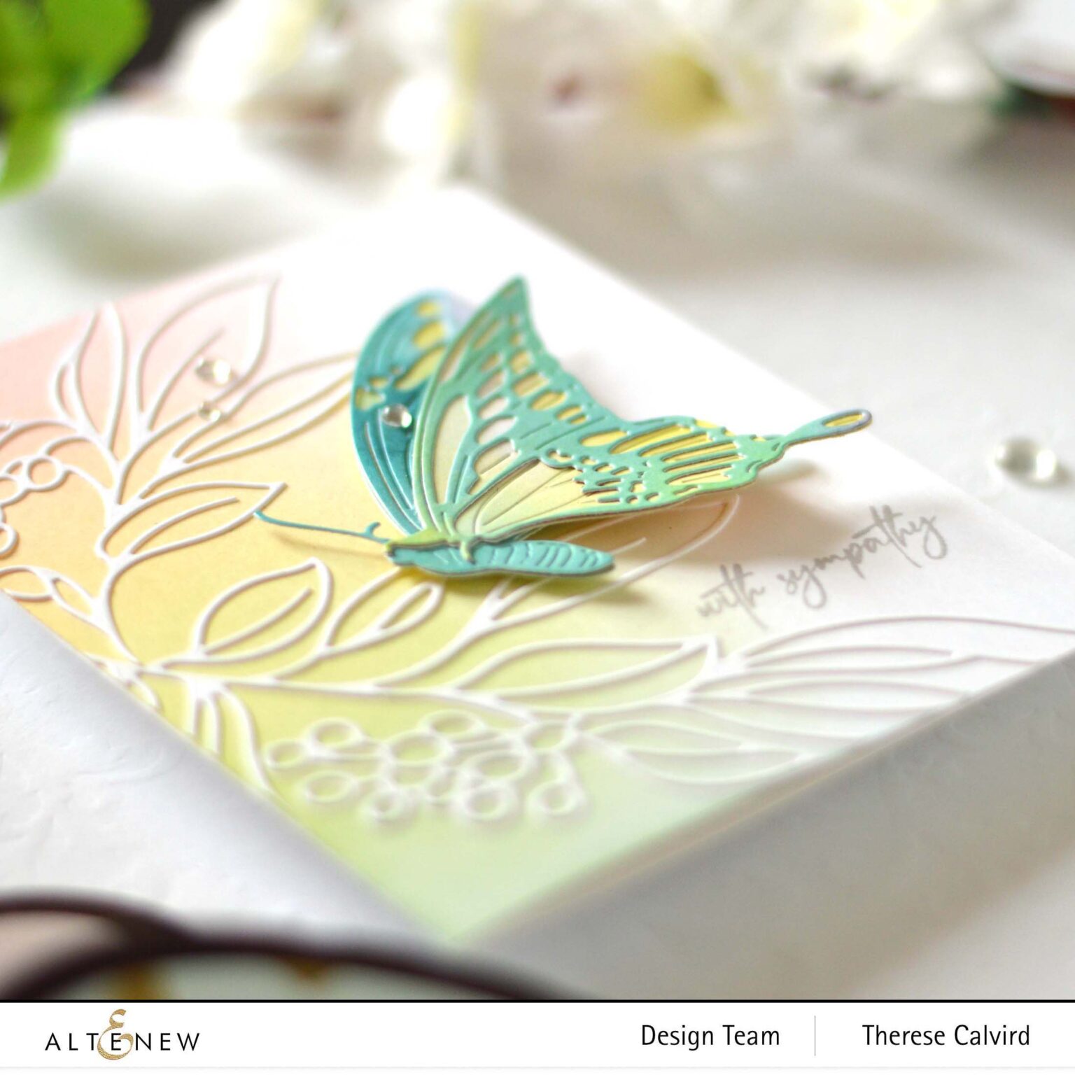What Could be Better than BUTTERFLY Cards? (Take 2 Video)