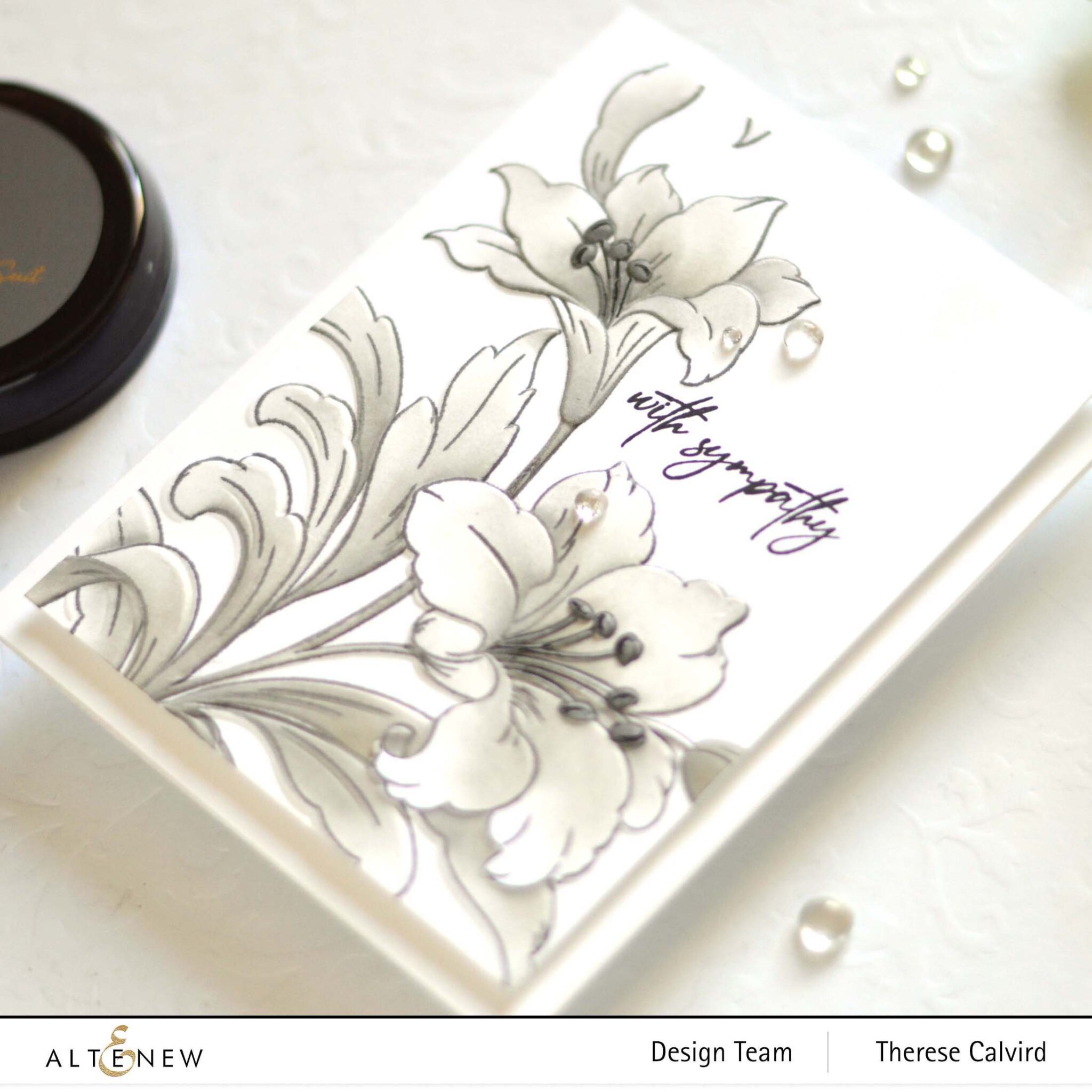 Are You Ready To Stretch Your Stamps With Colour? (Take 2 Video)